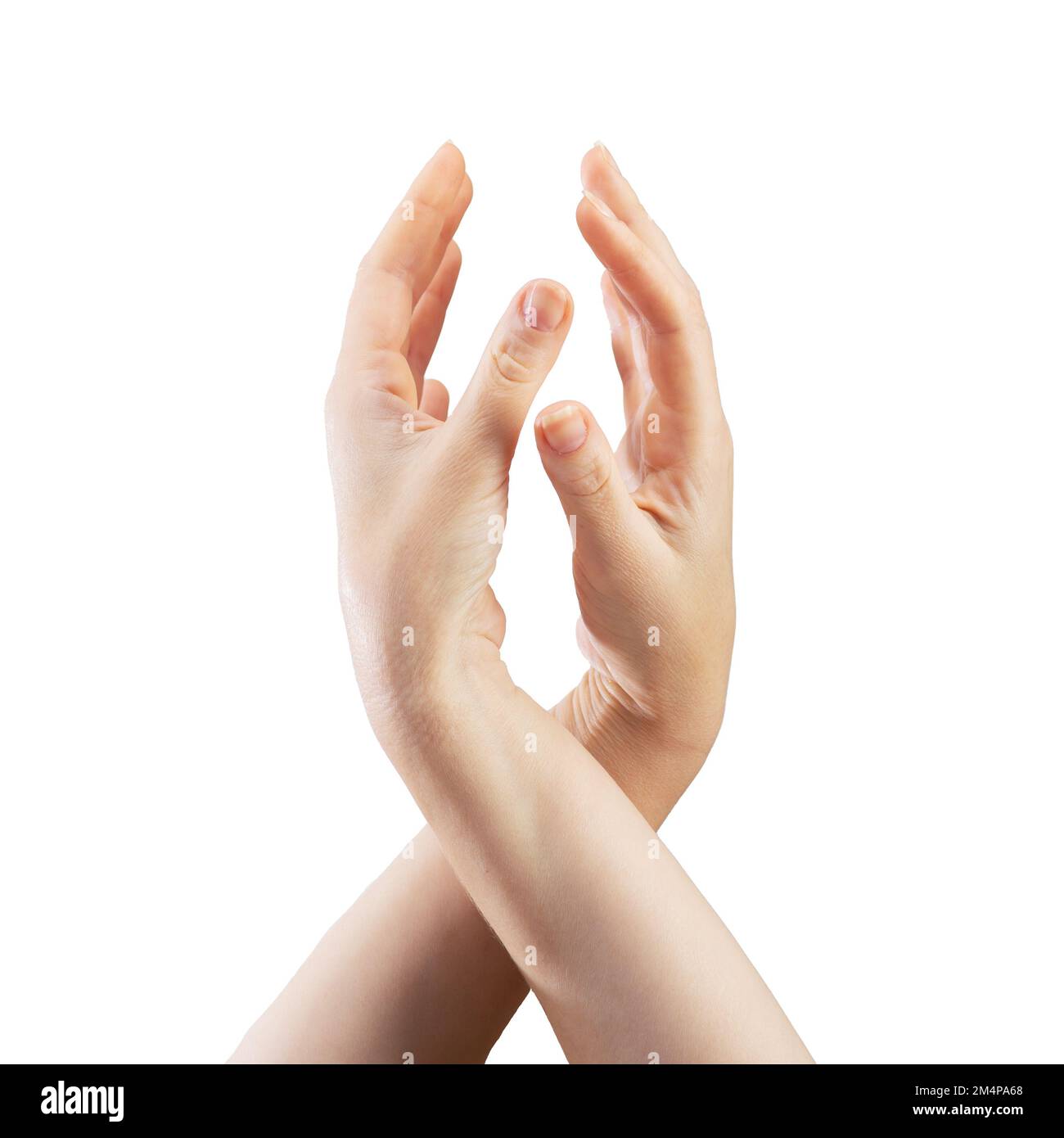Two beautiful female hands connect to each other on a white background ...
