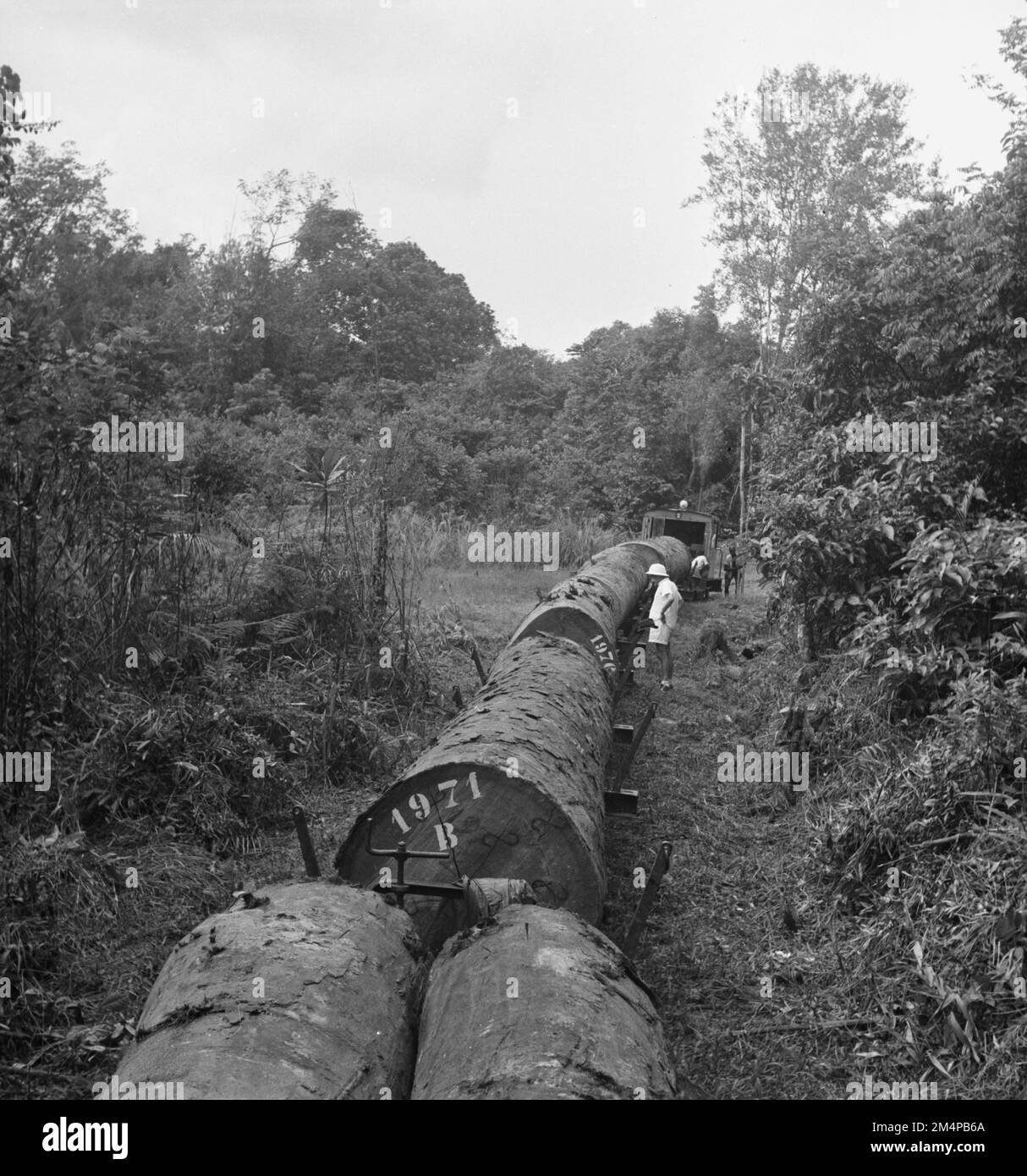 Magazine Unit - Logging in the Gabon. Photographs of Marshall Plan ...