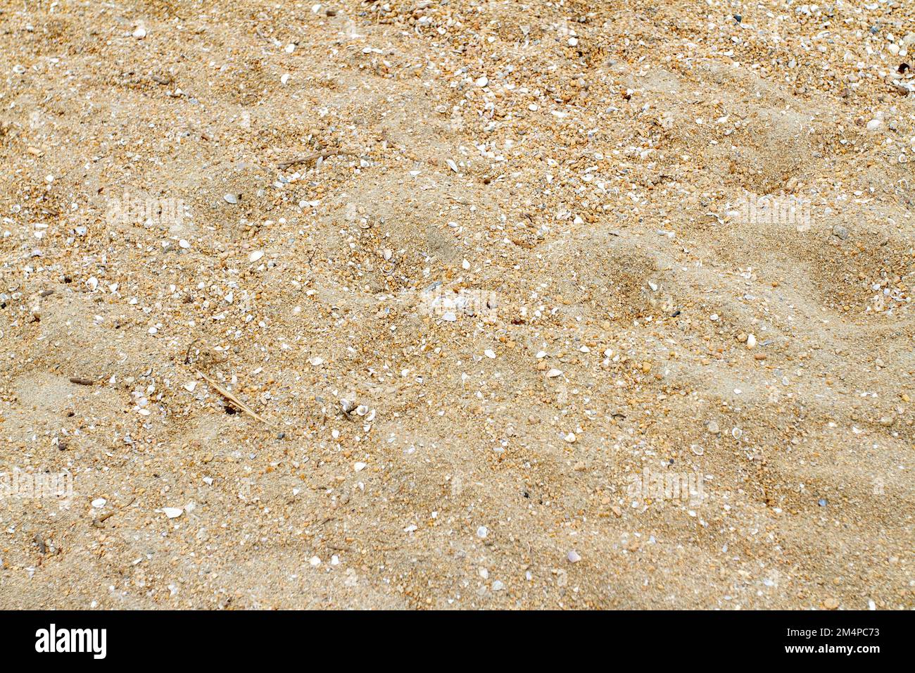 Sand with shells on a beach in Rio de Janeiro Stock Photo - Alamy