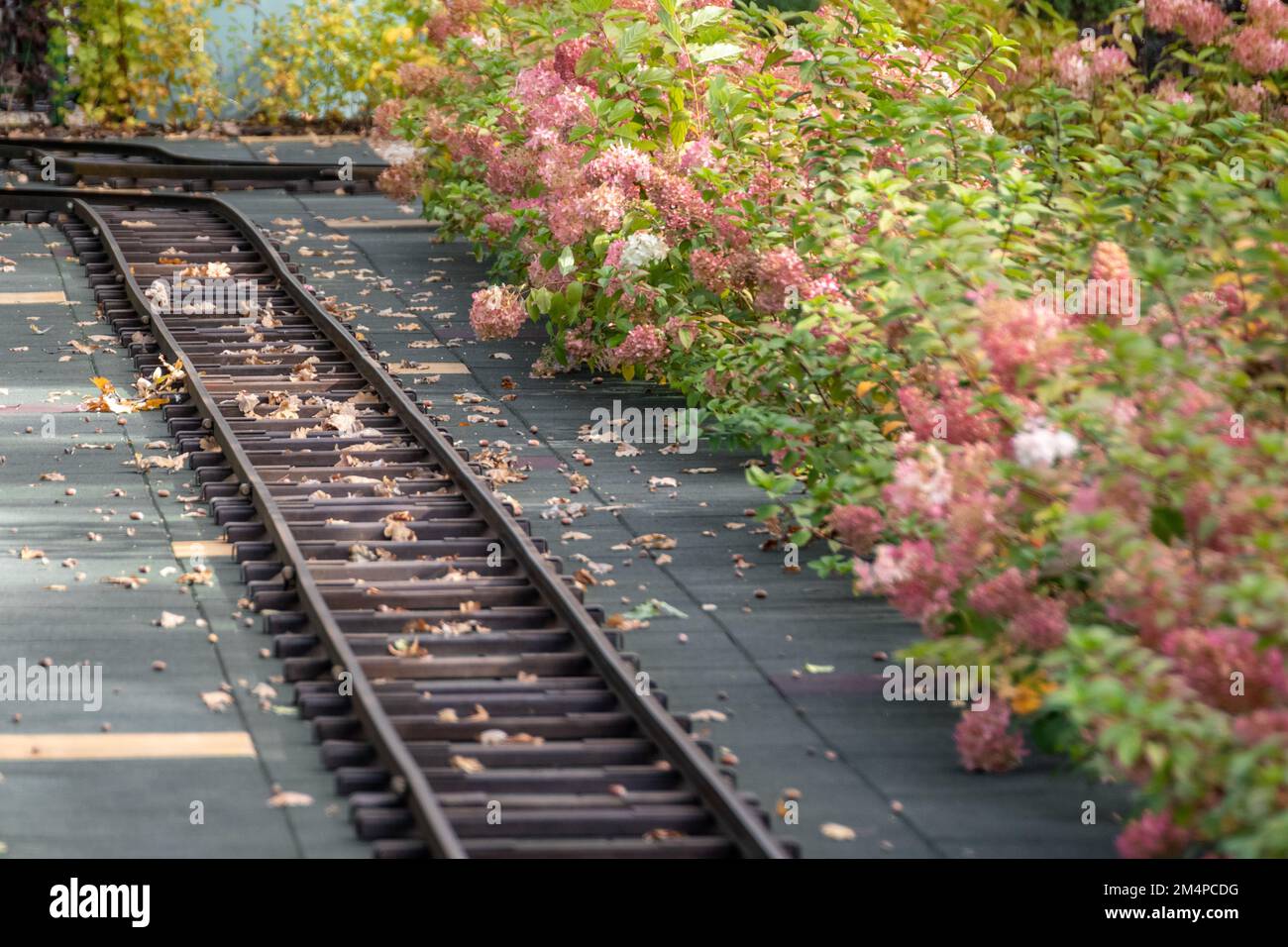 Outdoor entertainment railway attraction with flowers blooming. Railway ...