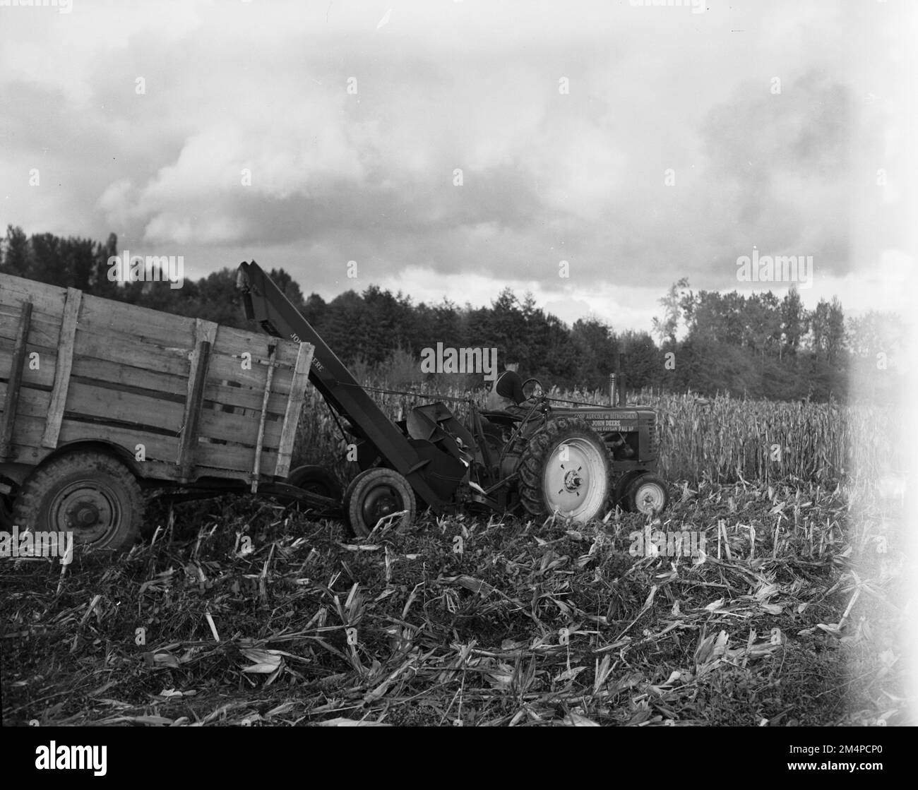 Hybrid Corn - Experimental Farm at Asile St-Leon. Photographs of ...
