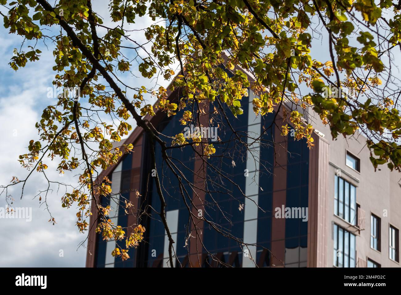 Modern residential building facade architecture in sunny tree branches ...