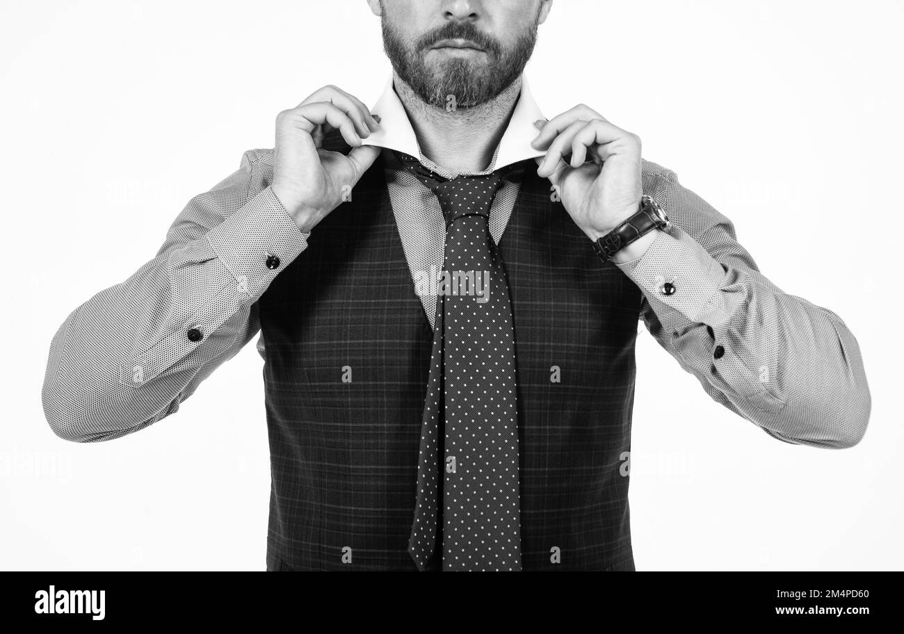 looking good. cropped ceo wear formal clothes. brunette boss man ...