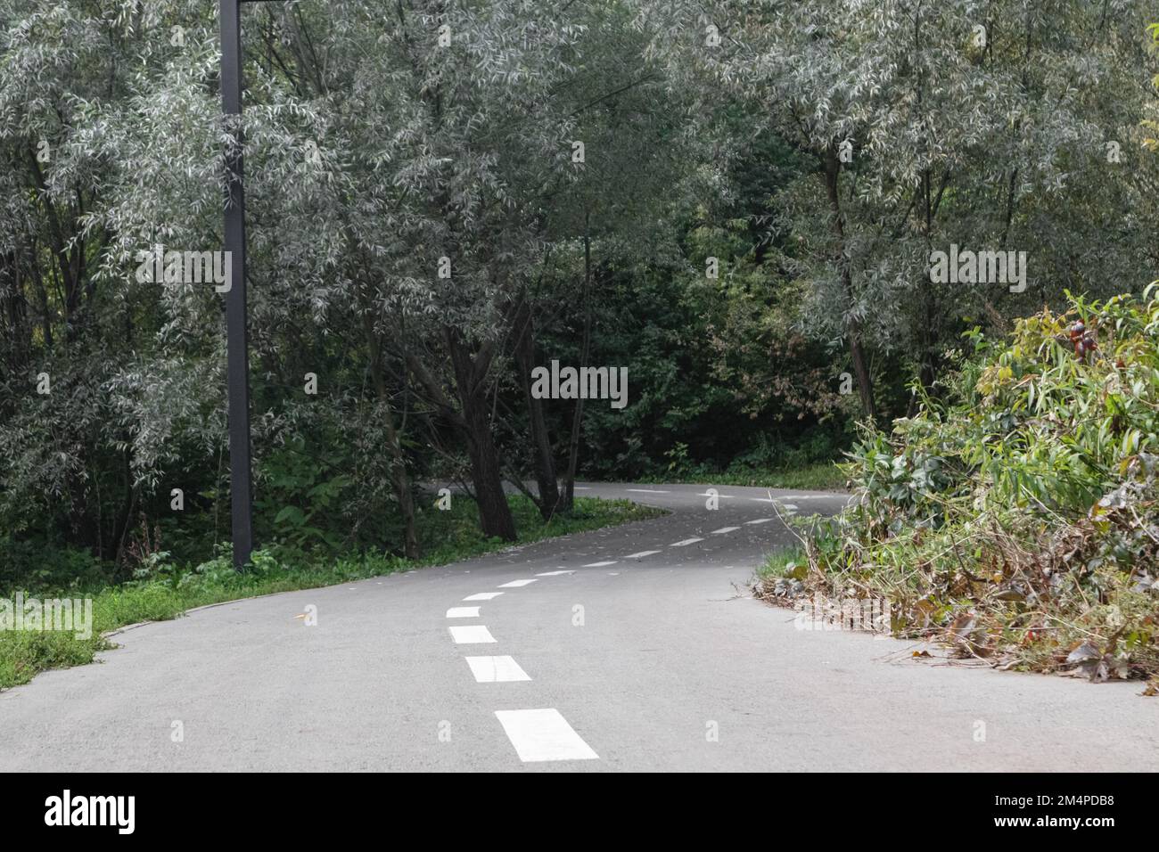 Bicycle asphalt road curve in green city park. Recreation area for ...