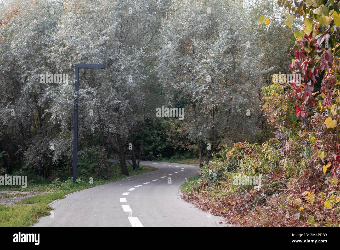 Bicycle asphalt road curve in autumn colorful city park. Recreation ...