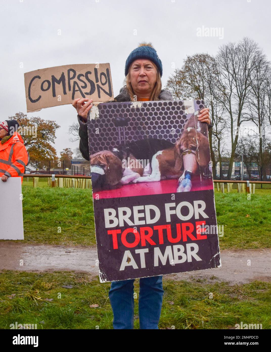 Huntingdon, UK. 22nd December 2022. Animal rights activists staged a ...