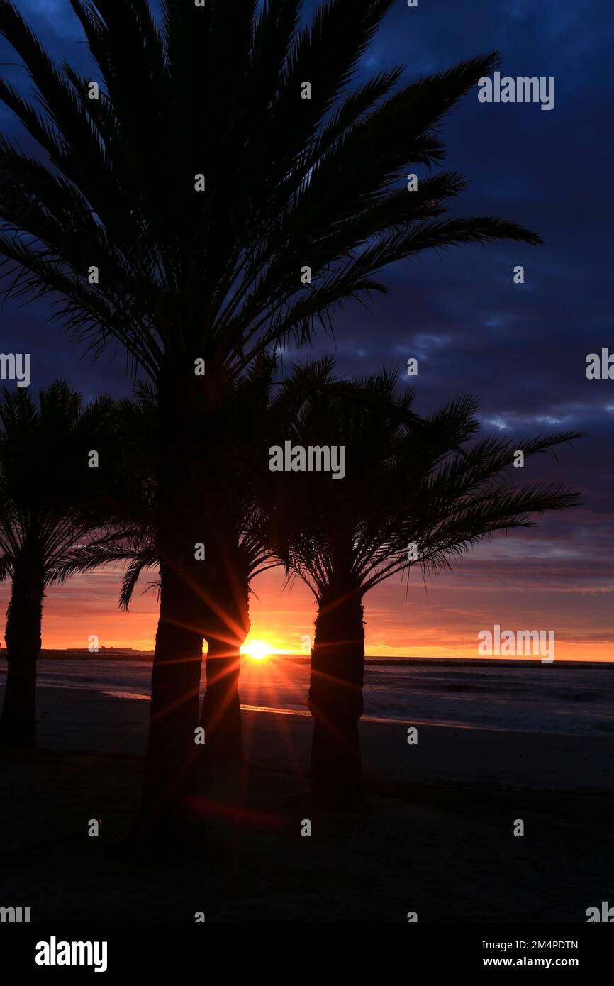 Beach oasis at sunrise on Levante beach in Santa Pola, Alicante, Spain ...