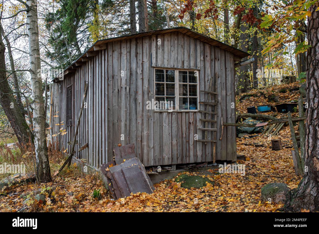 Old weathered wooden hut in Läntinen Pukkisaari, Vähä-Meilahti district of Helsinki, Finland ...