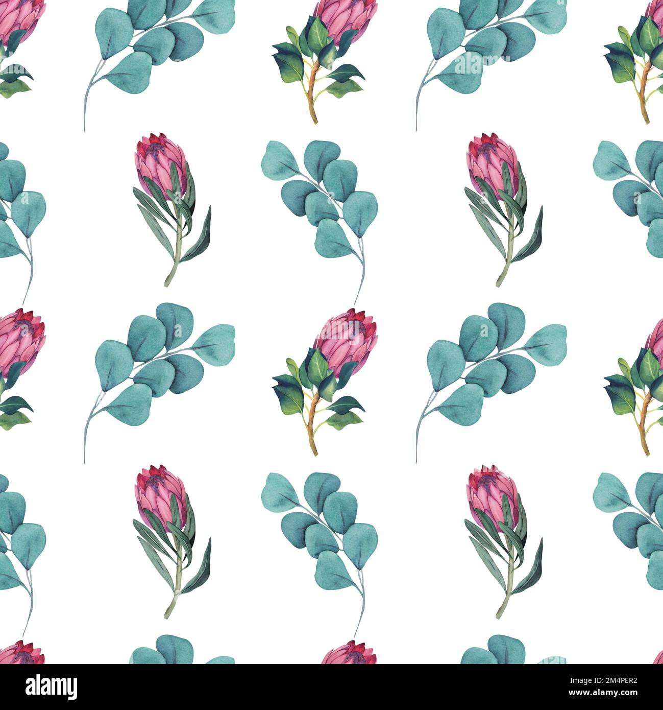 Watercolor seamless pattern with magenta protea, floral background ...