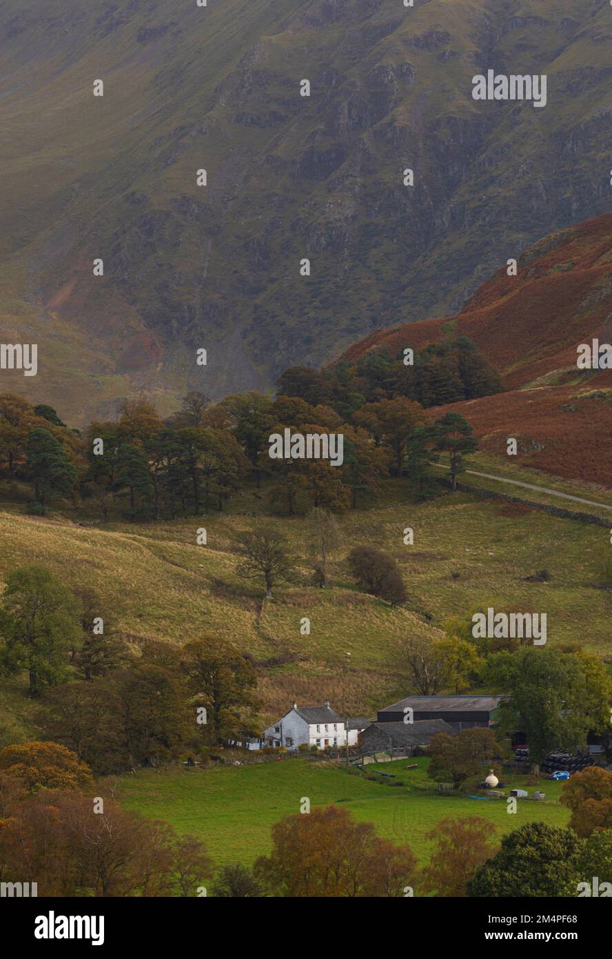 Rural scene in the Lake District Cumbria Stock Photo - Alamy
