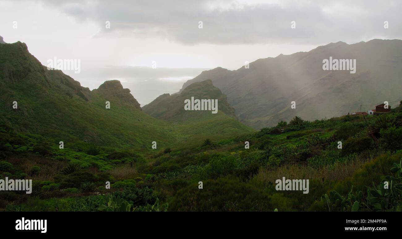 Anaga National park. Green forest mountain range. Landscape of peaks ...