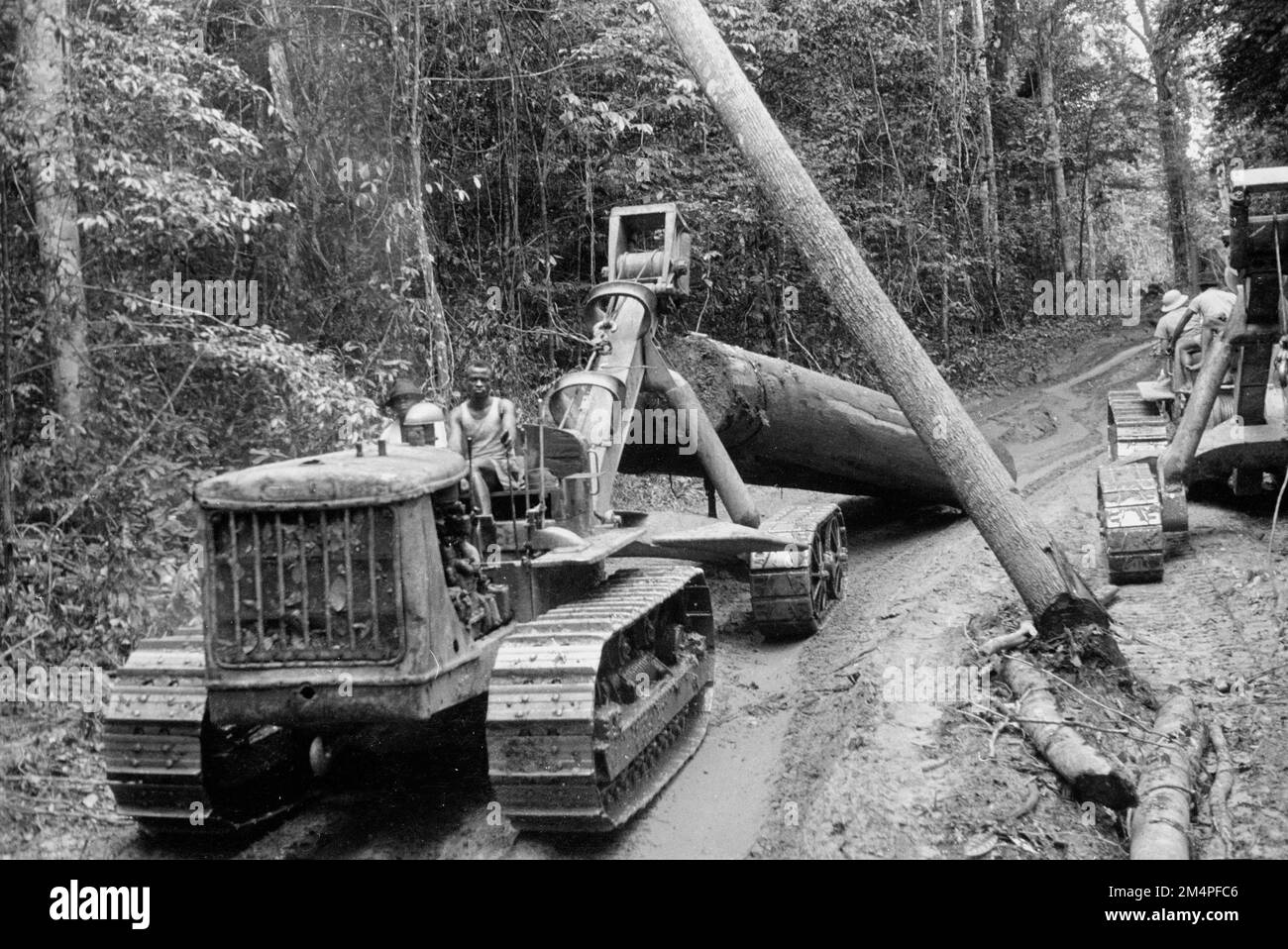 Magazine Unit - Logging in the Gabon. Photographs of Marshall Plan ...