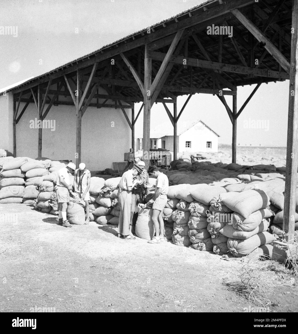 Moroccan Farming. Photographs of Marshall Plan Programs, Exhibits, and ...