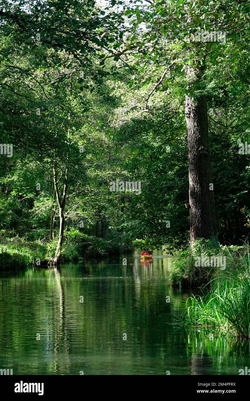 Spreewald in autumn, river with red paddle boat, Brandenburg, Germany ...