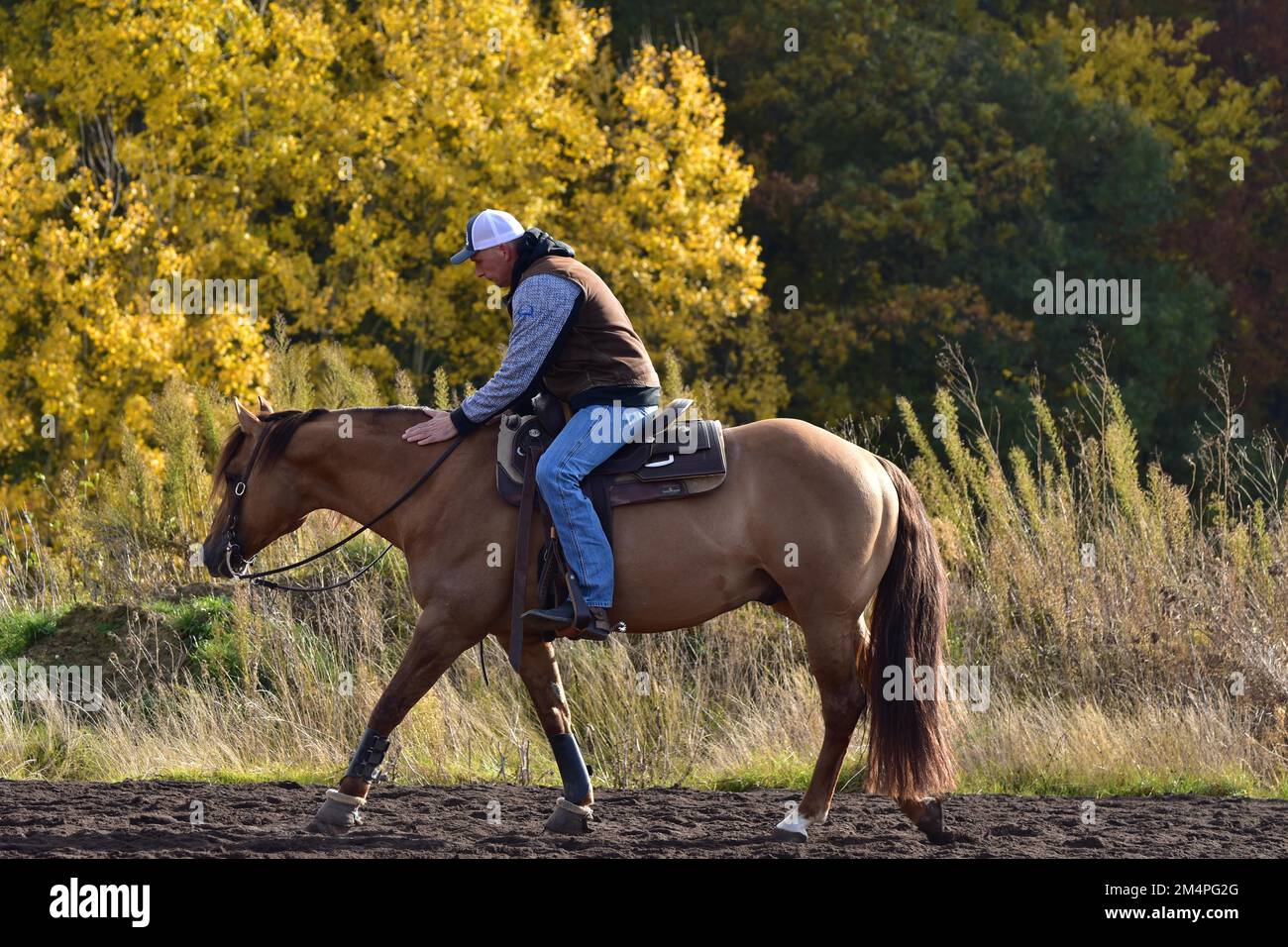 Animal trainer horse hi-res stock photography and images - Alamy