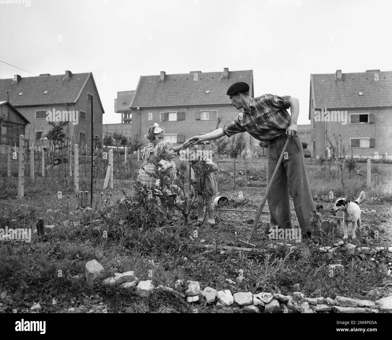 Labor - Force Ouvriere Workers at Home. Photographs of Marshall Plan ...