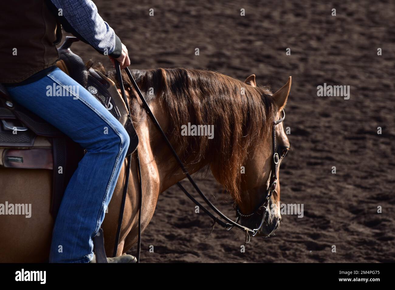 Detailed view of the head and neck with equipment of an American ...