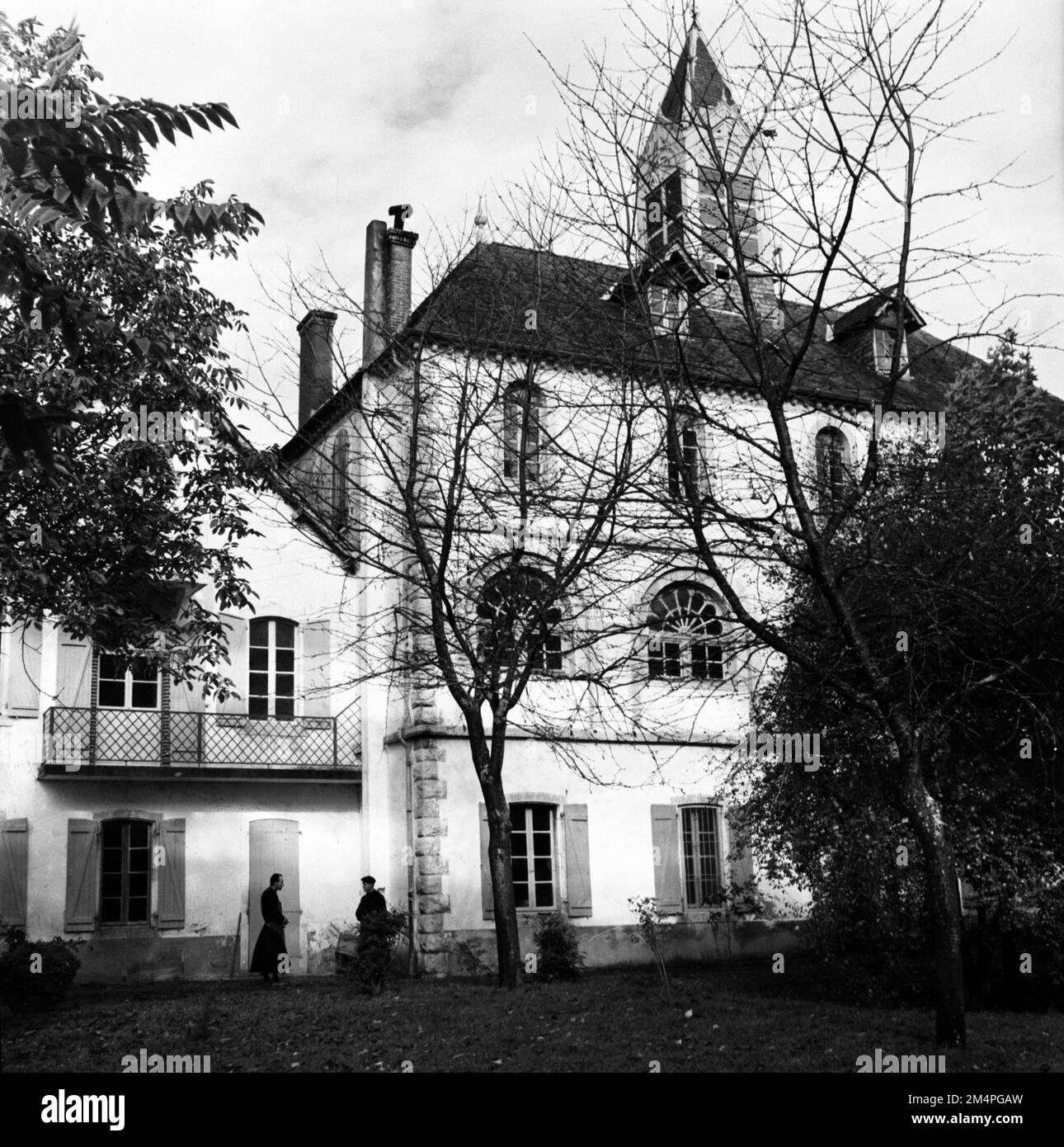Hybrid Corn - Visit to the Madeleine Farm Near Pau. Photographs of ...
