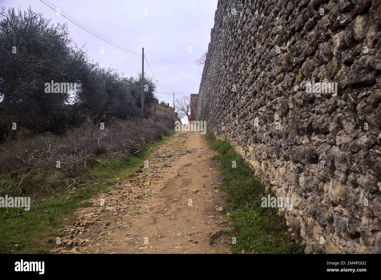 Dirt path next to a stone fortification and olive trees with ...