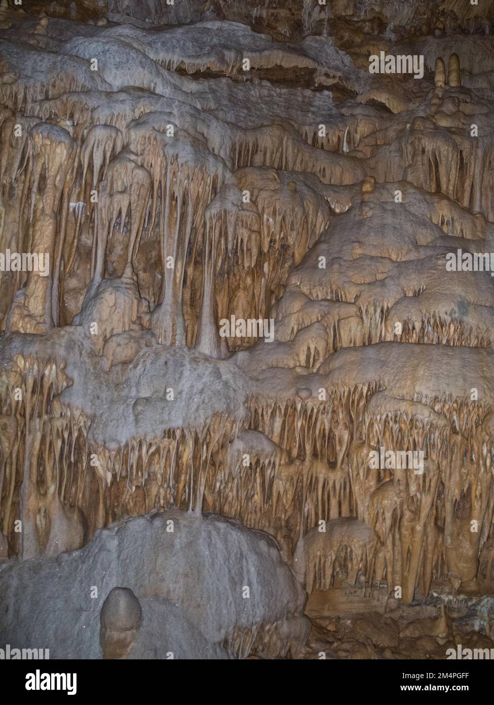 Stalactite formations in the Baerenhoehle, Karlshoehle, Erpfinger ...