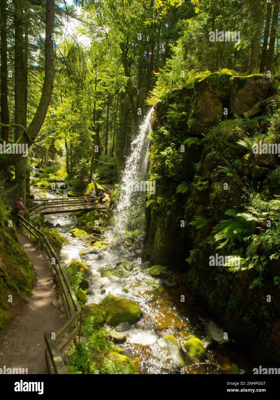 Waterfall and hiking trail in the gorge of the Menzenschwander Alb, St ...