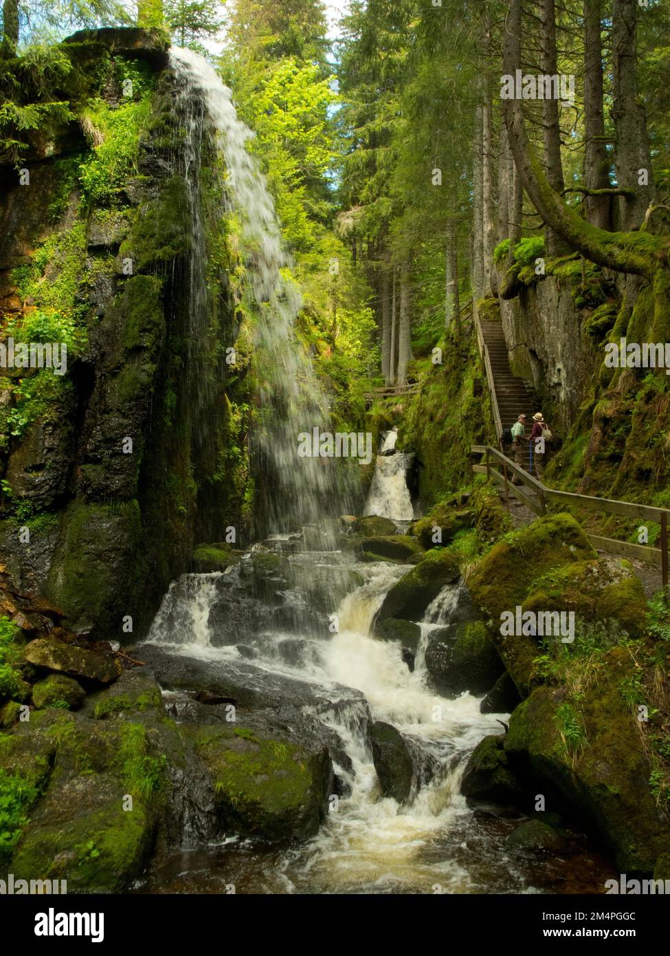 Waterfall and hiking trail in the gorge of the Menzenschwander Alb, St ...