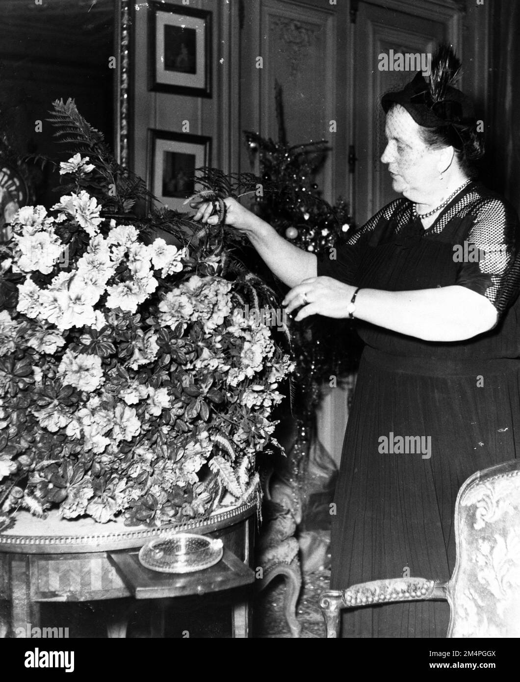 Rene Coty, New French President. Photographs of Marshall Plan Programs ...