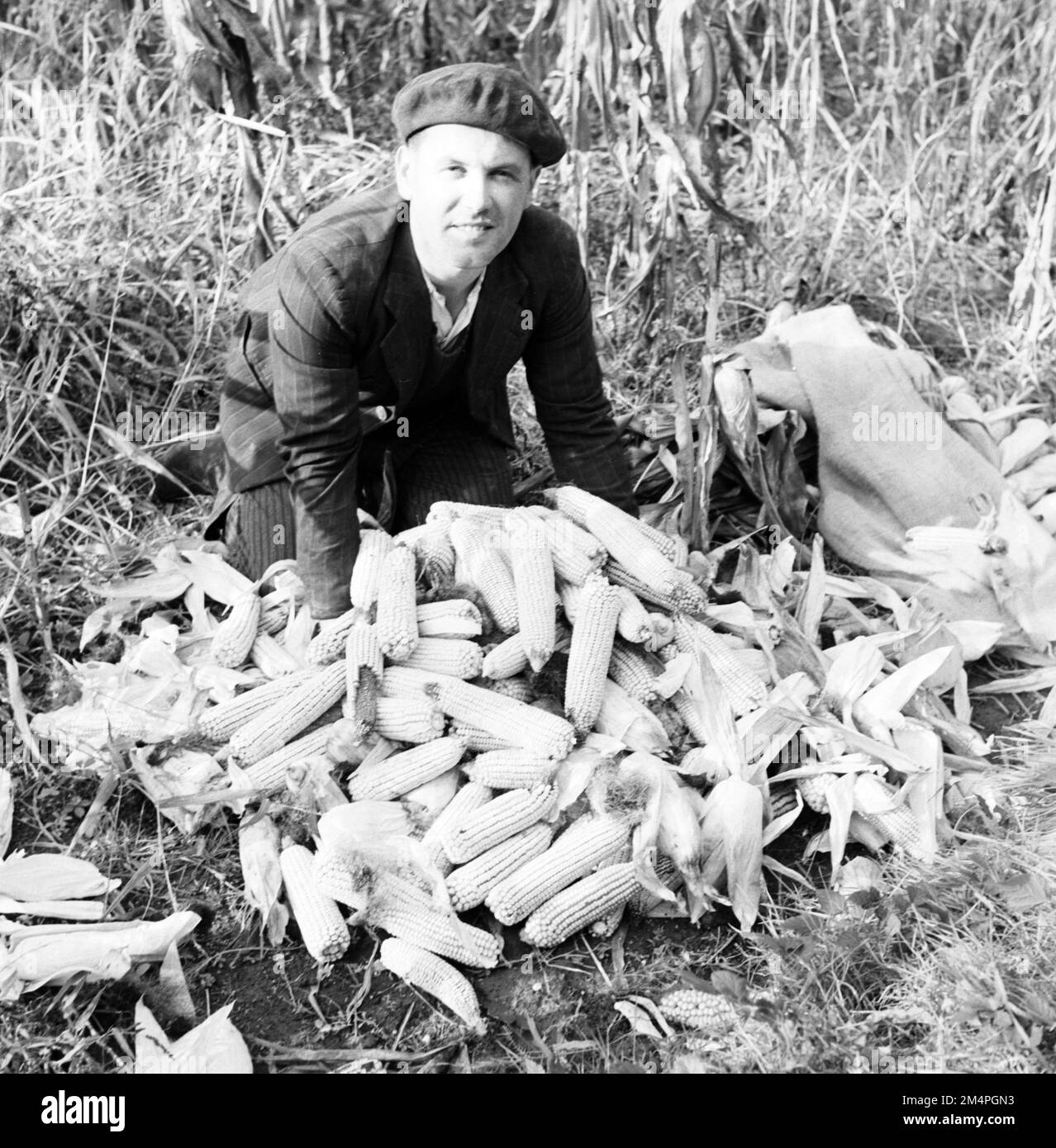 Madeleine Farm near PAU. Photographs of Marshall Plan Programs ...