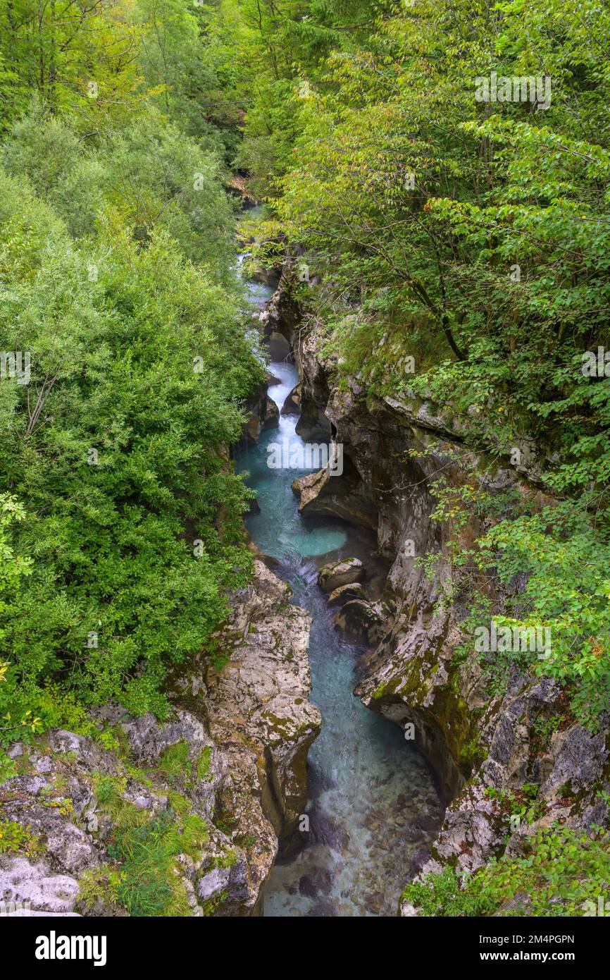 Narrows of the river at the Velika korita Soce (Great Soca Troughs ...