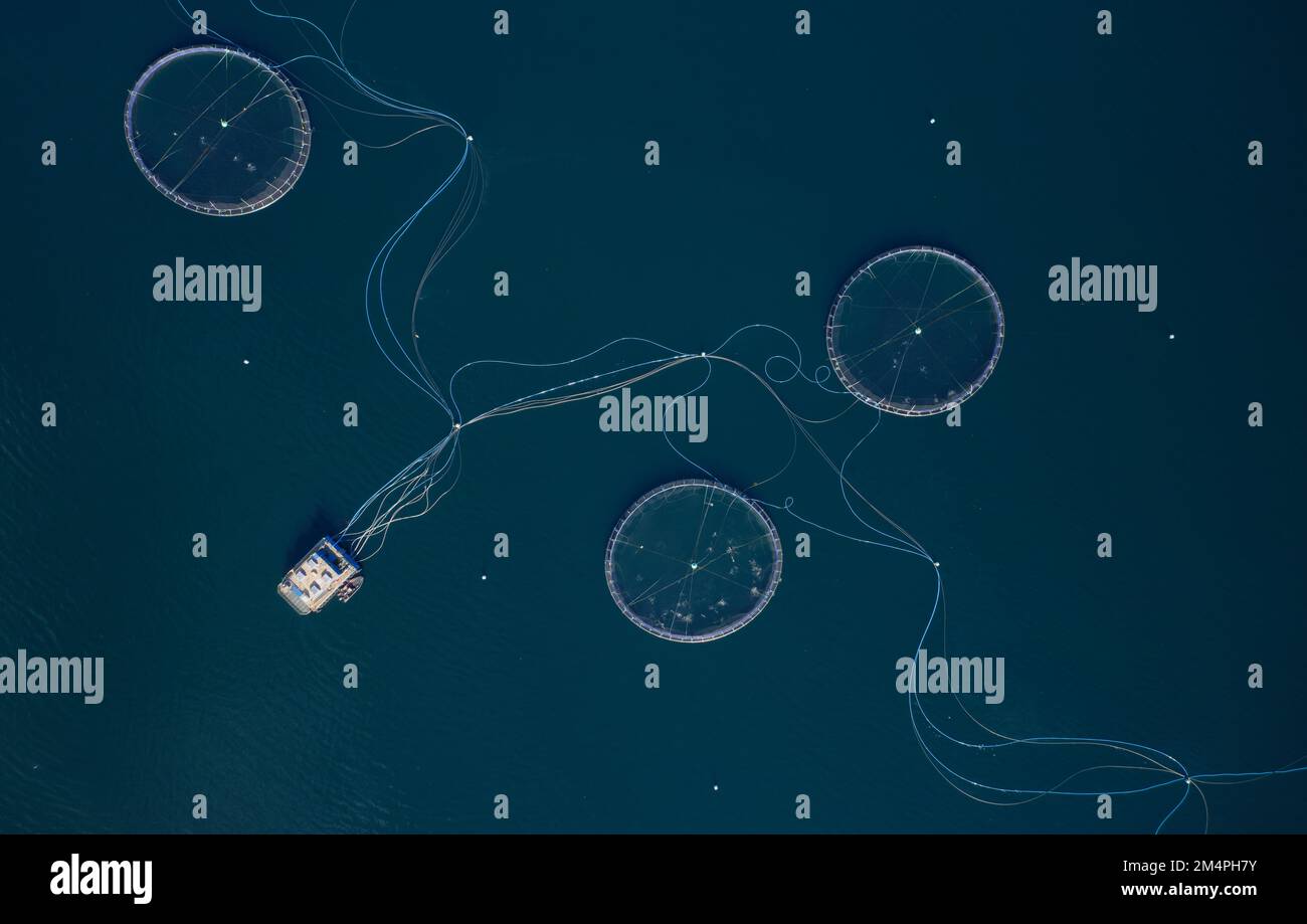 Fish farm salmon round nets in natural environment Loch Fyne Arygll and ...