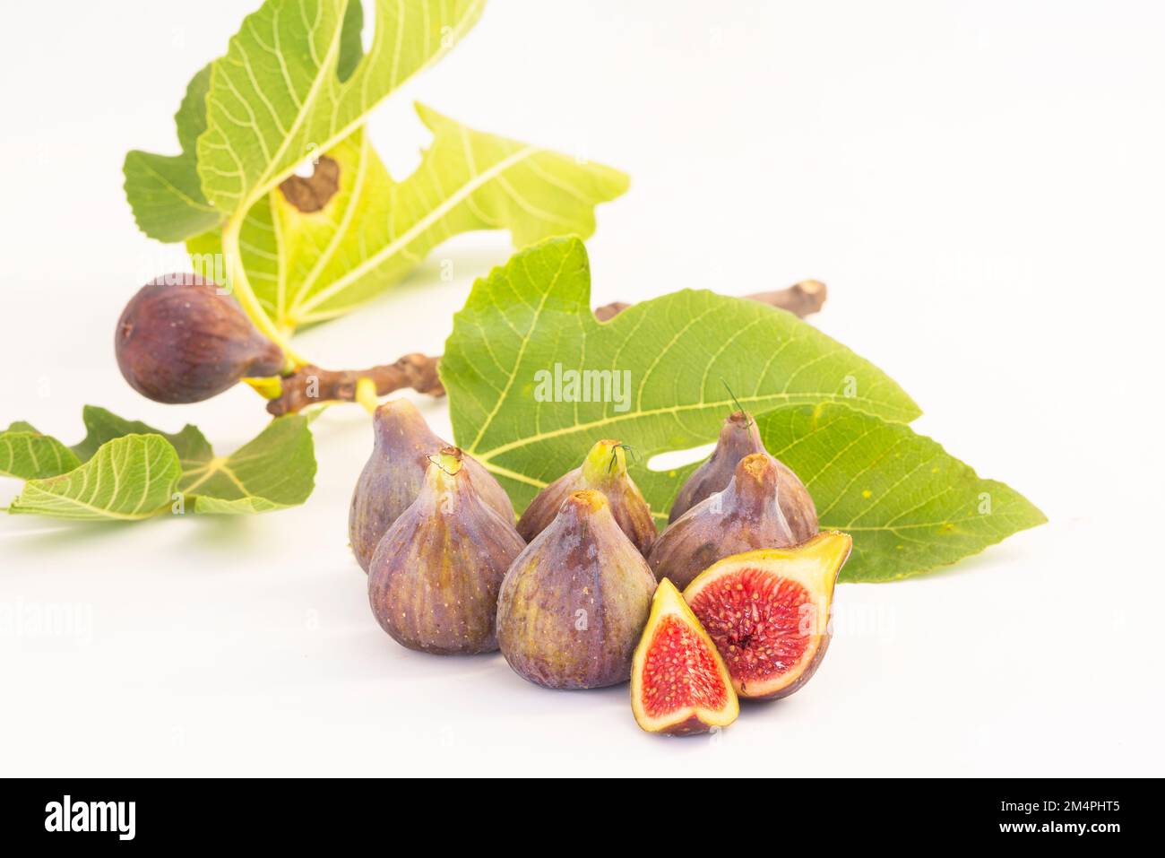 Natural Figs with tree white background Stock Photo - Alamy