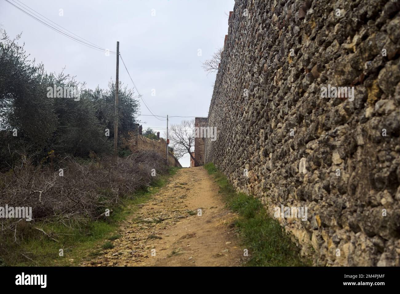 Dirt path next to a stone fortification and olive trees with ...