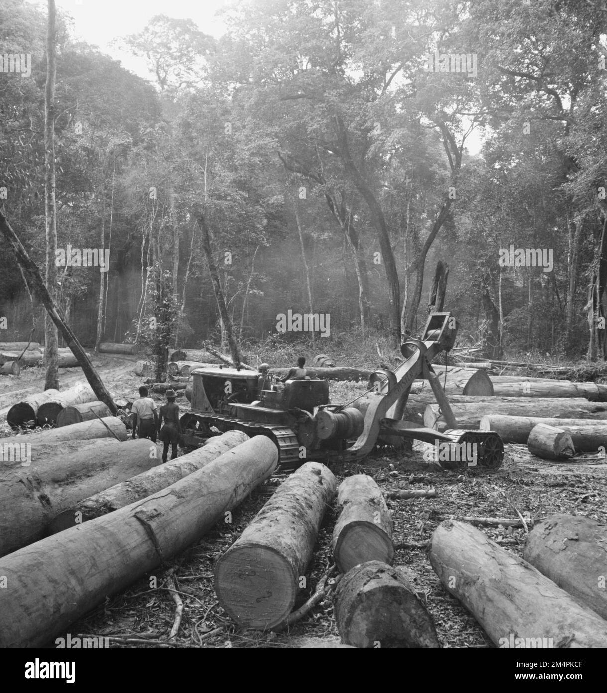 Magazine Unit - Logging in the Gabon. Photographs of Marshall Plan ...