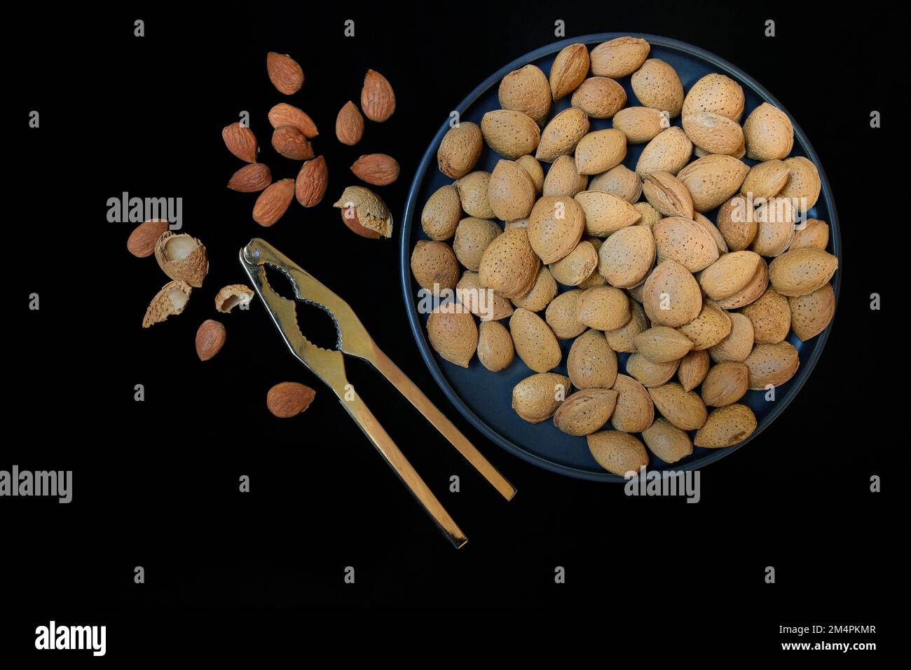 Almond, almonds and almond kernels with almond tree (Prunus dulcis ...
