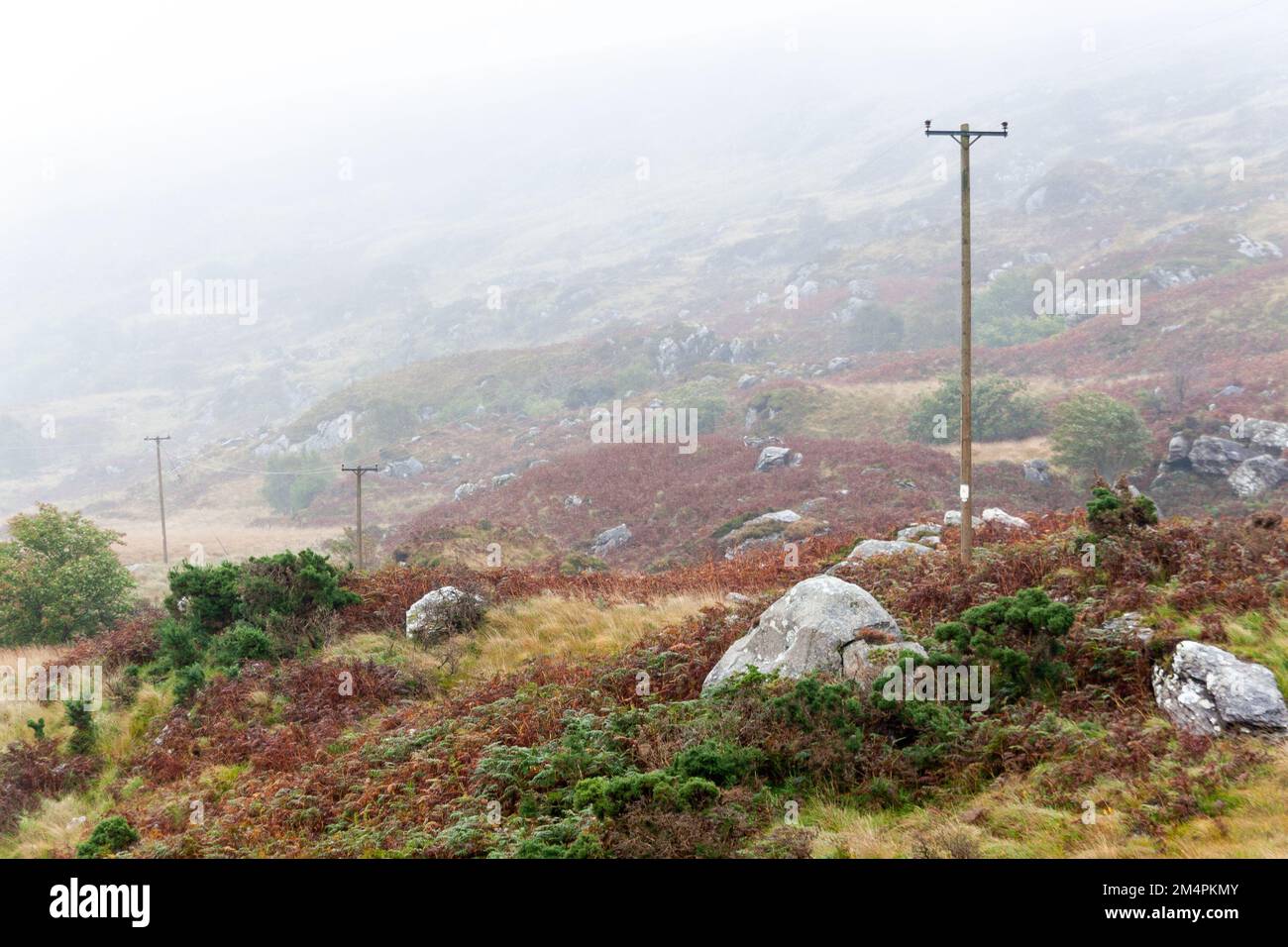 Wood telephone poles hi-res stock photography and images - Alamy