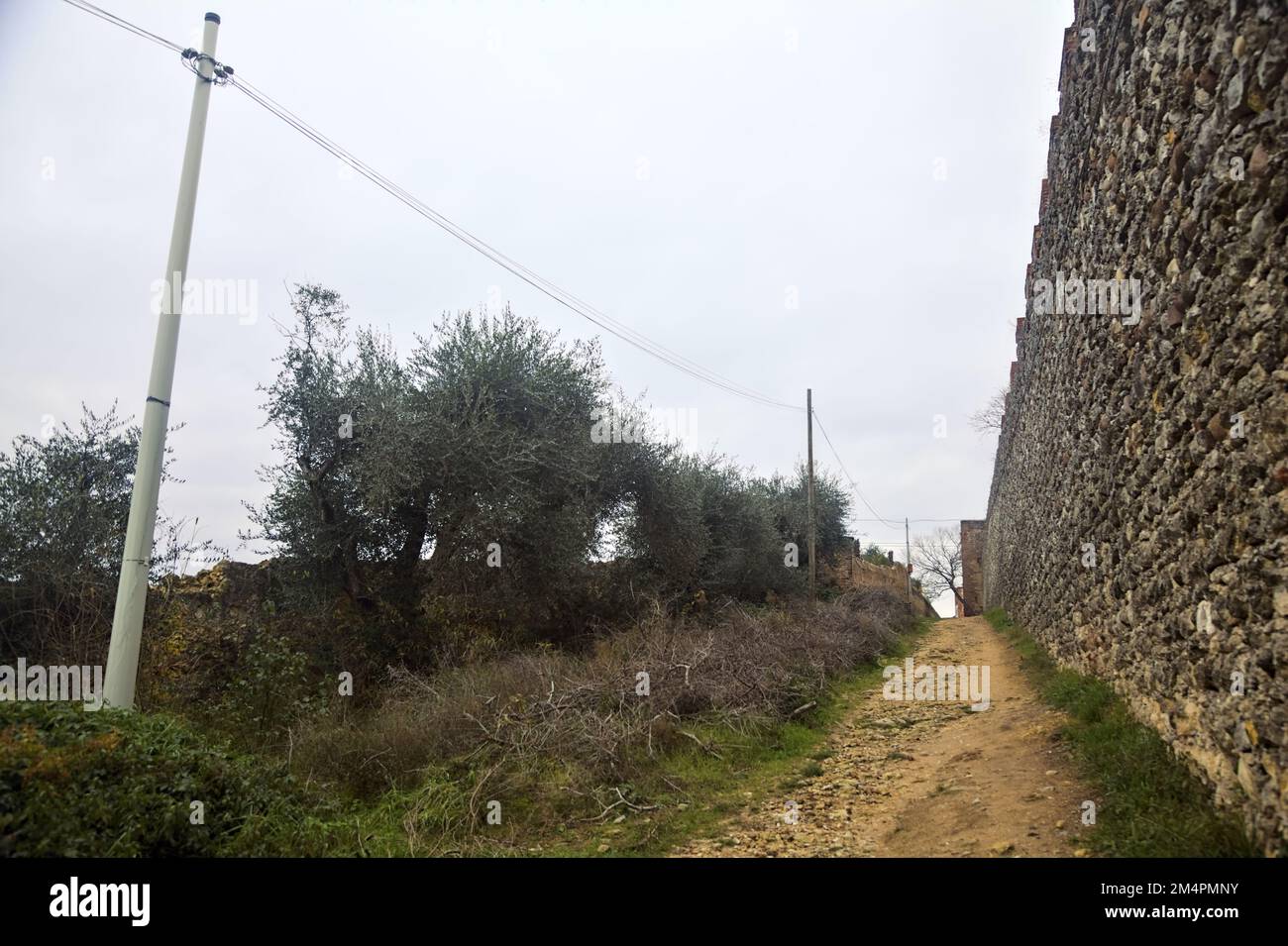 Dirt path next to a stone fortification and olive trees with ...
