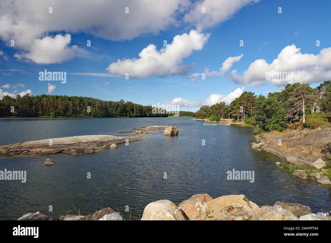 Rocky coast and pines, summer holiday, Archipelago Trail, Turku ...