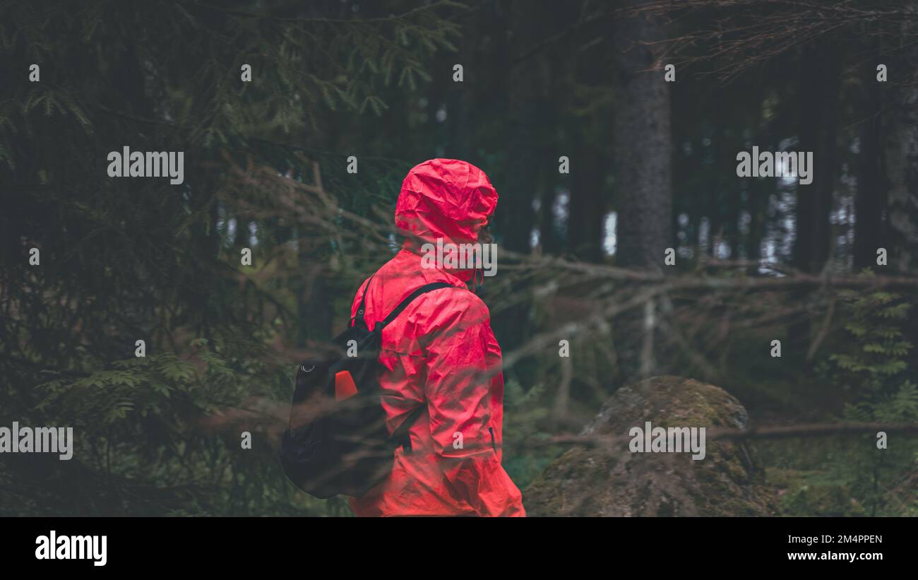 A man in a red jacket in the forest Stock Photo - Alamy