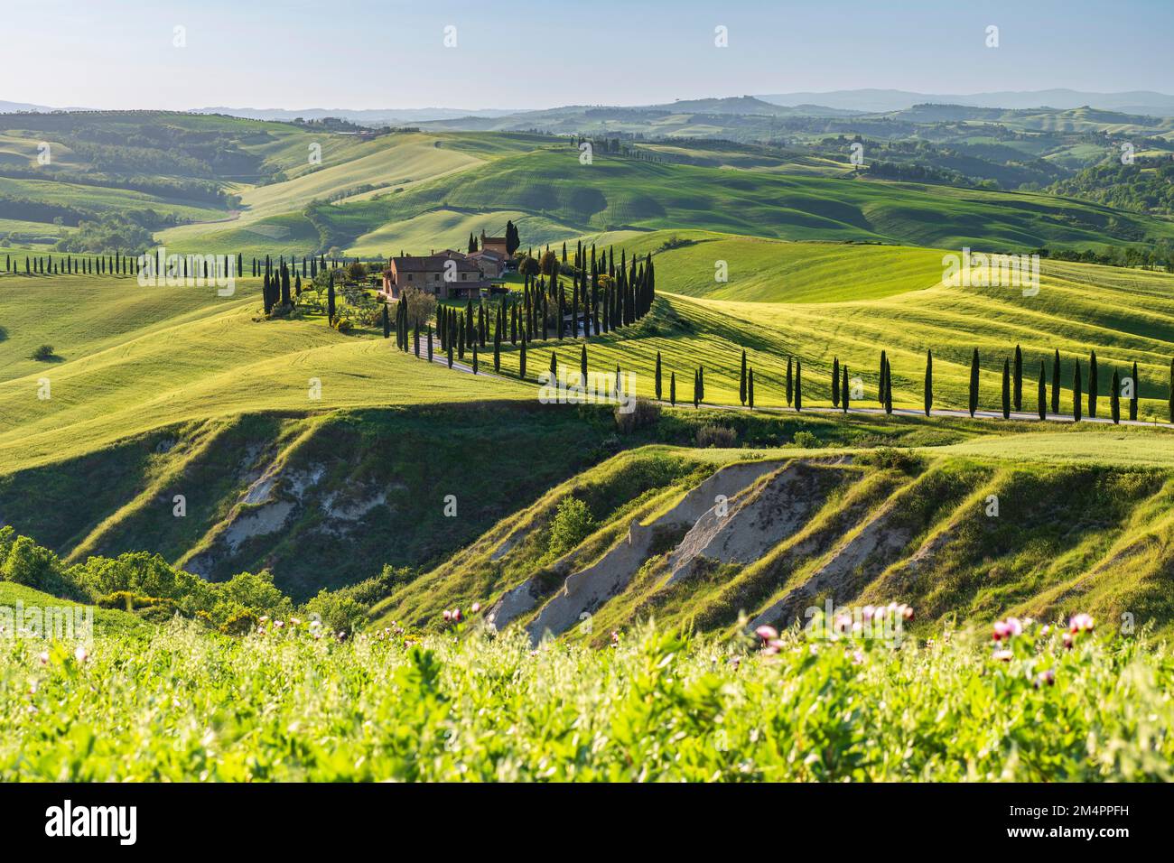 Country estate Agriturismo Baccoleno with cypress (Cupressus) avenue ...