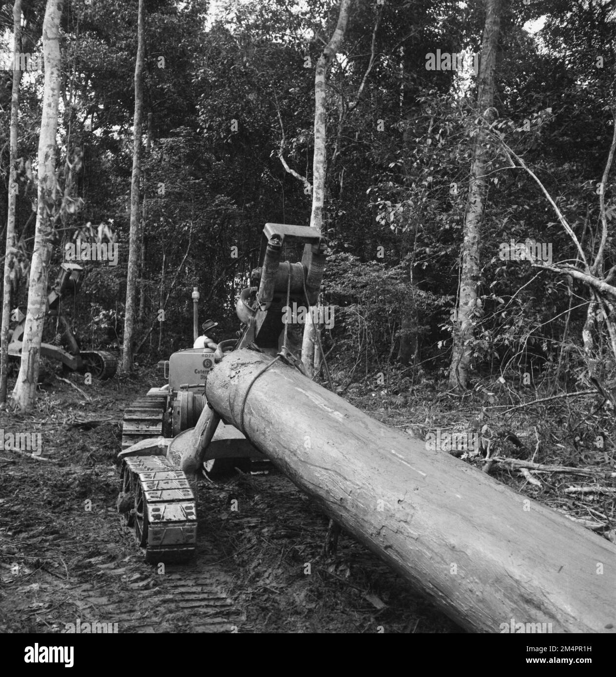 Magazine Unit - Logging in the Gabon. Photographs of Marshall Plan ...