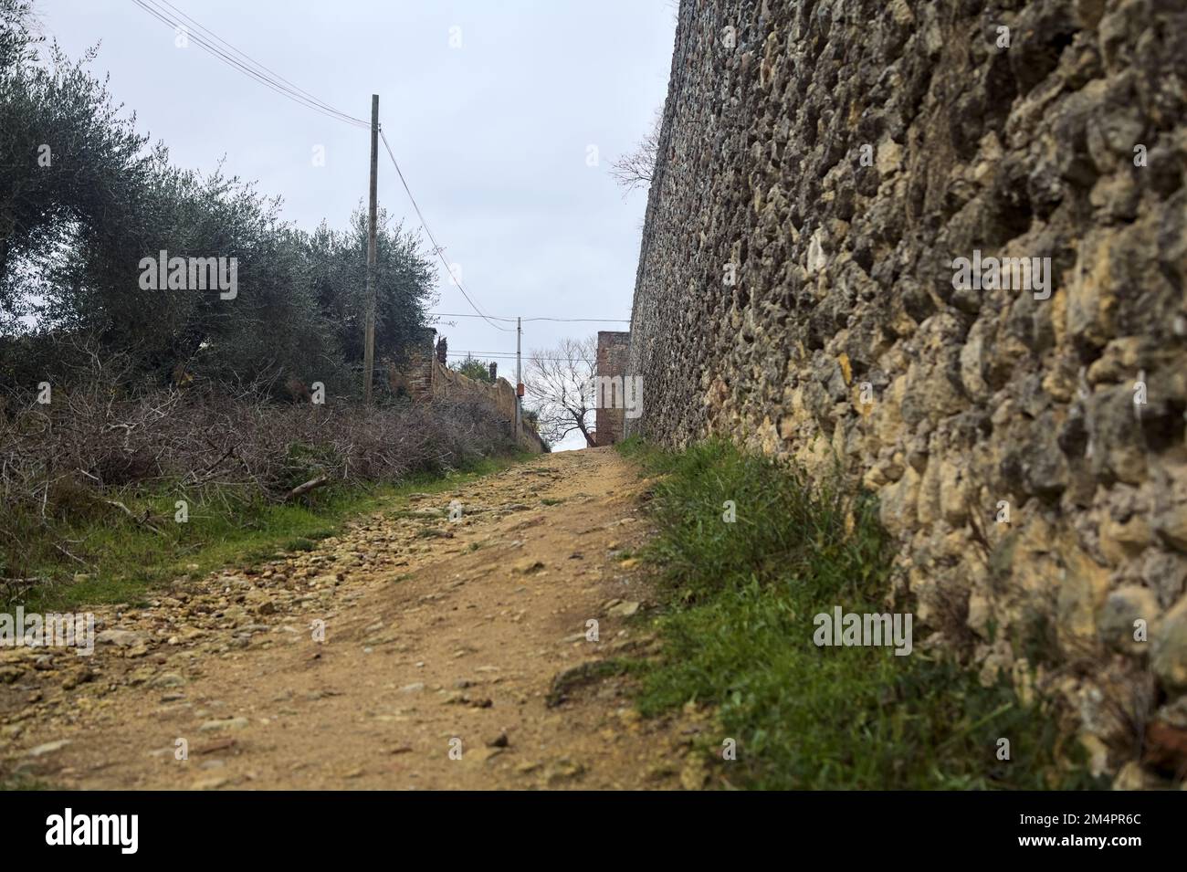 Dirt path next to a stone fortification and olive trees with ...