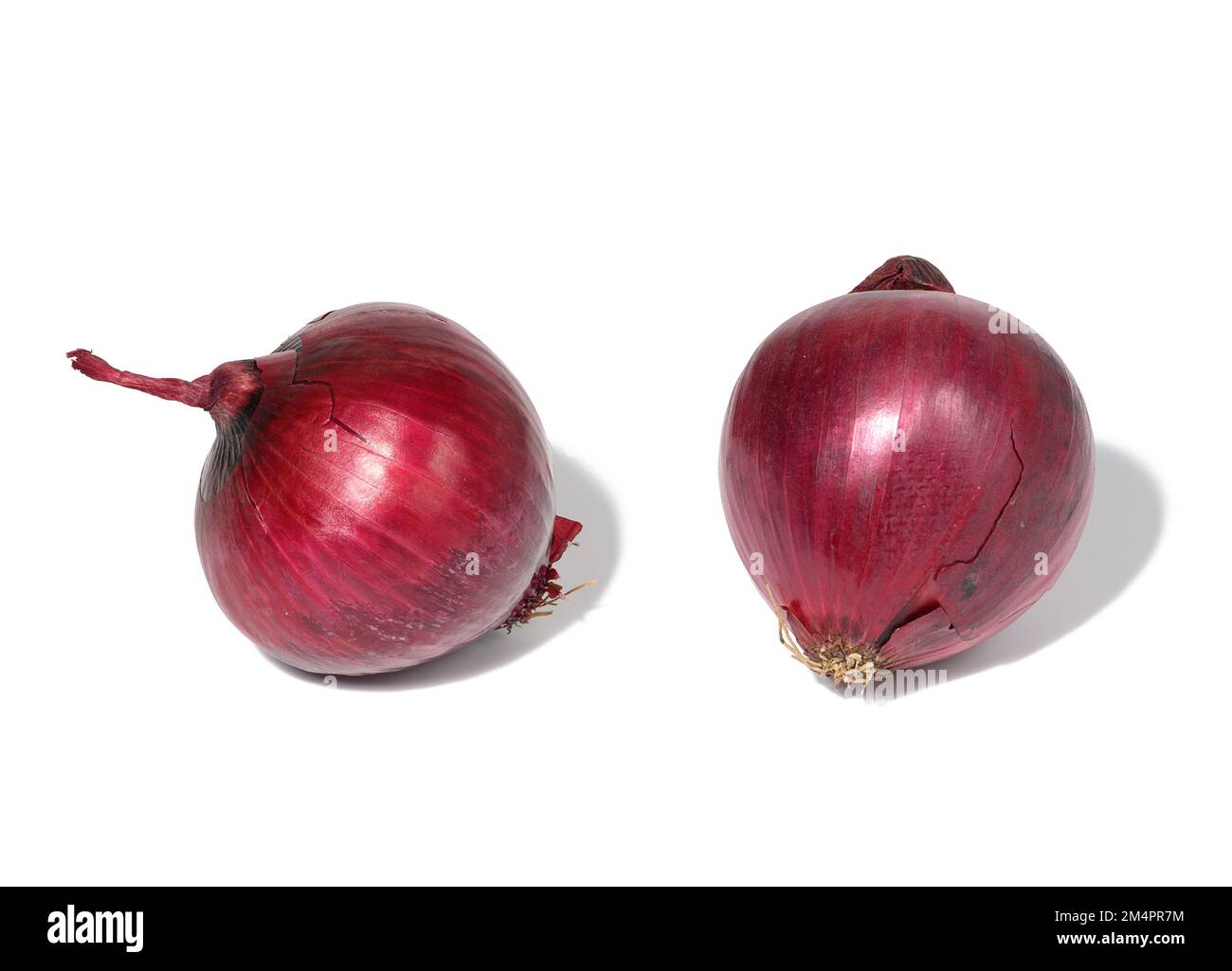 Round raw whole red onion isolated on a white background Stock Photo ...