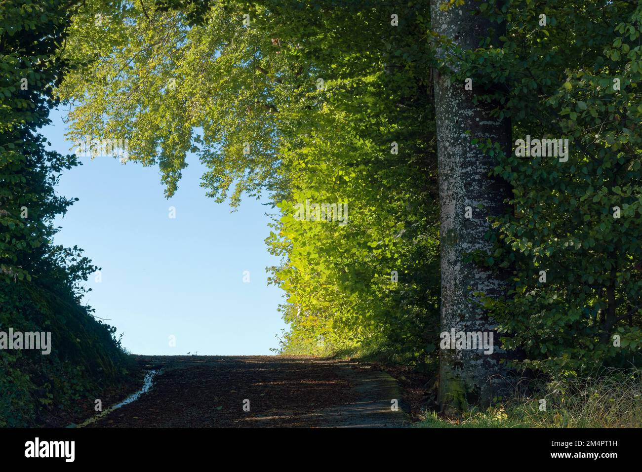 Good footpath hi-res stock photography and images - Alamy