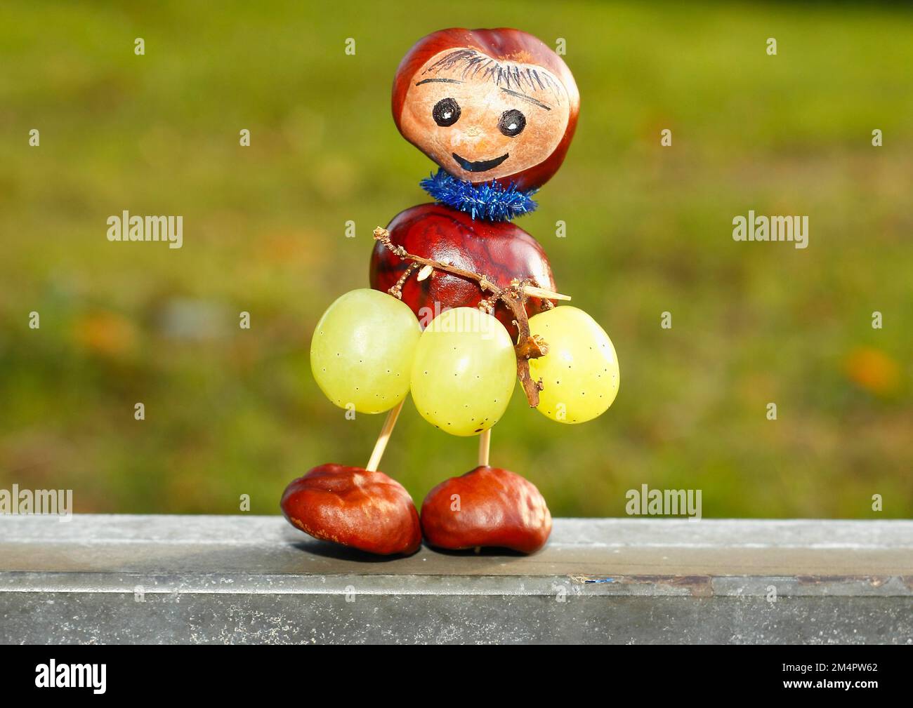 Chestnut figure with grapes in the evening light, North Rhine ...