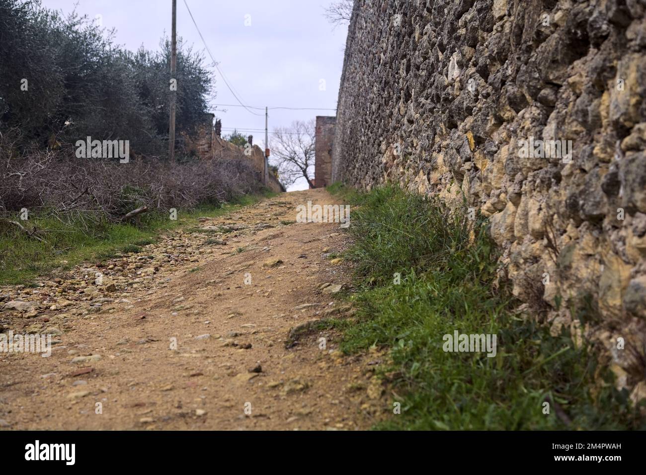 Dirt path next to a stone fortification and olive trees with ...