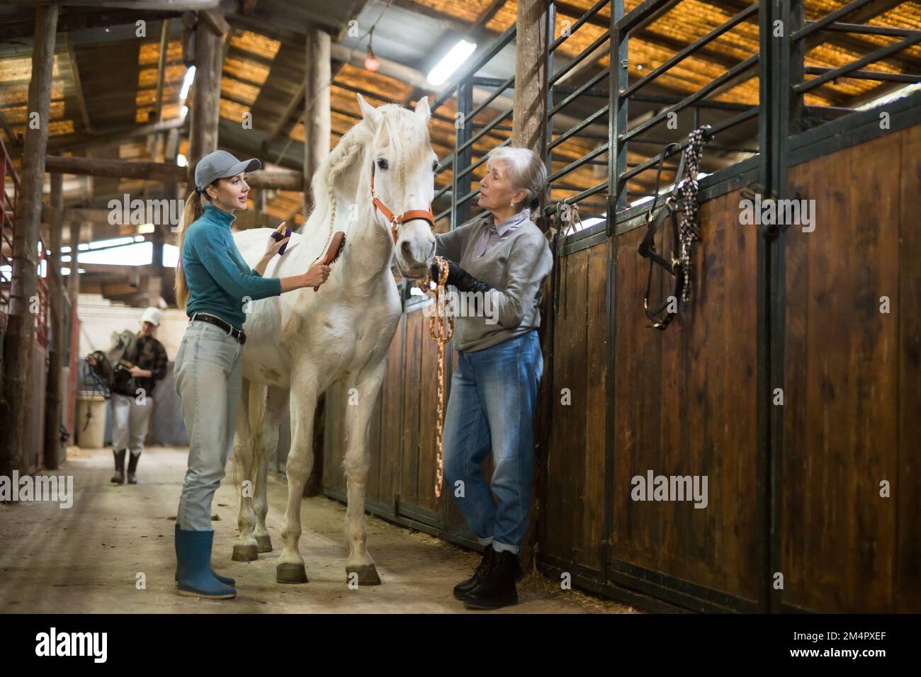 Aged farmer woman with young female assistant caring white horse in ...