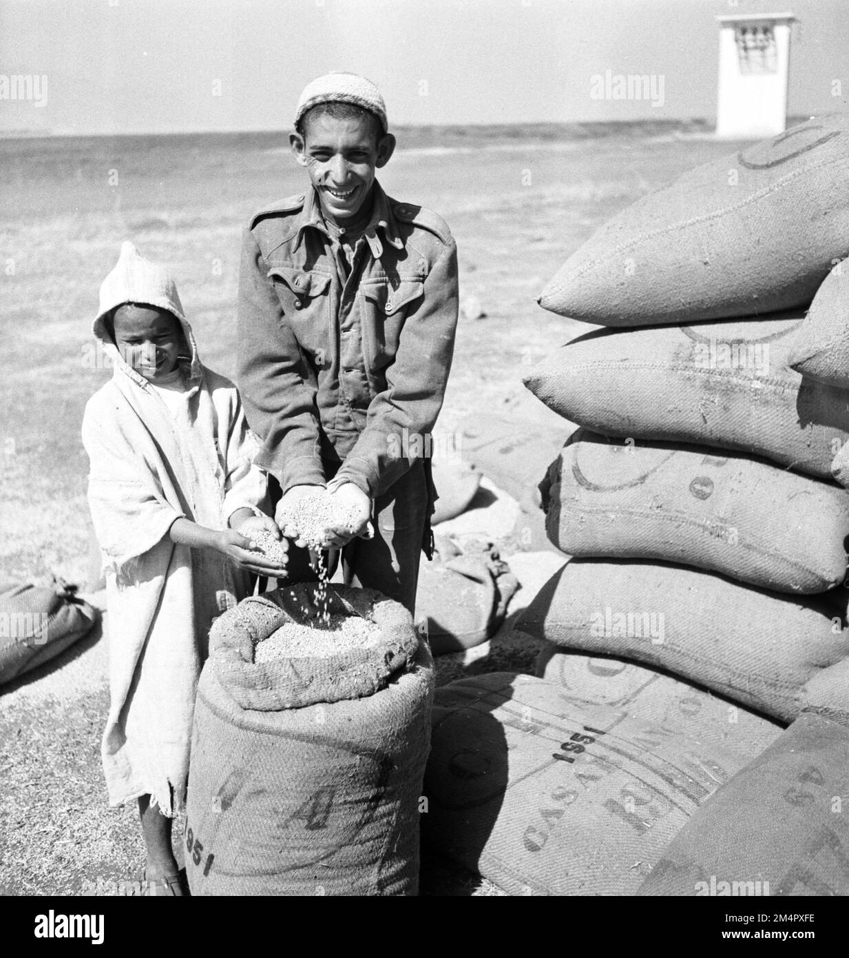 Moroccan Farming. Photographs of Marshall Plan Programs, Exhibits, and ...