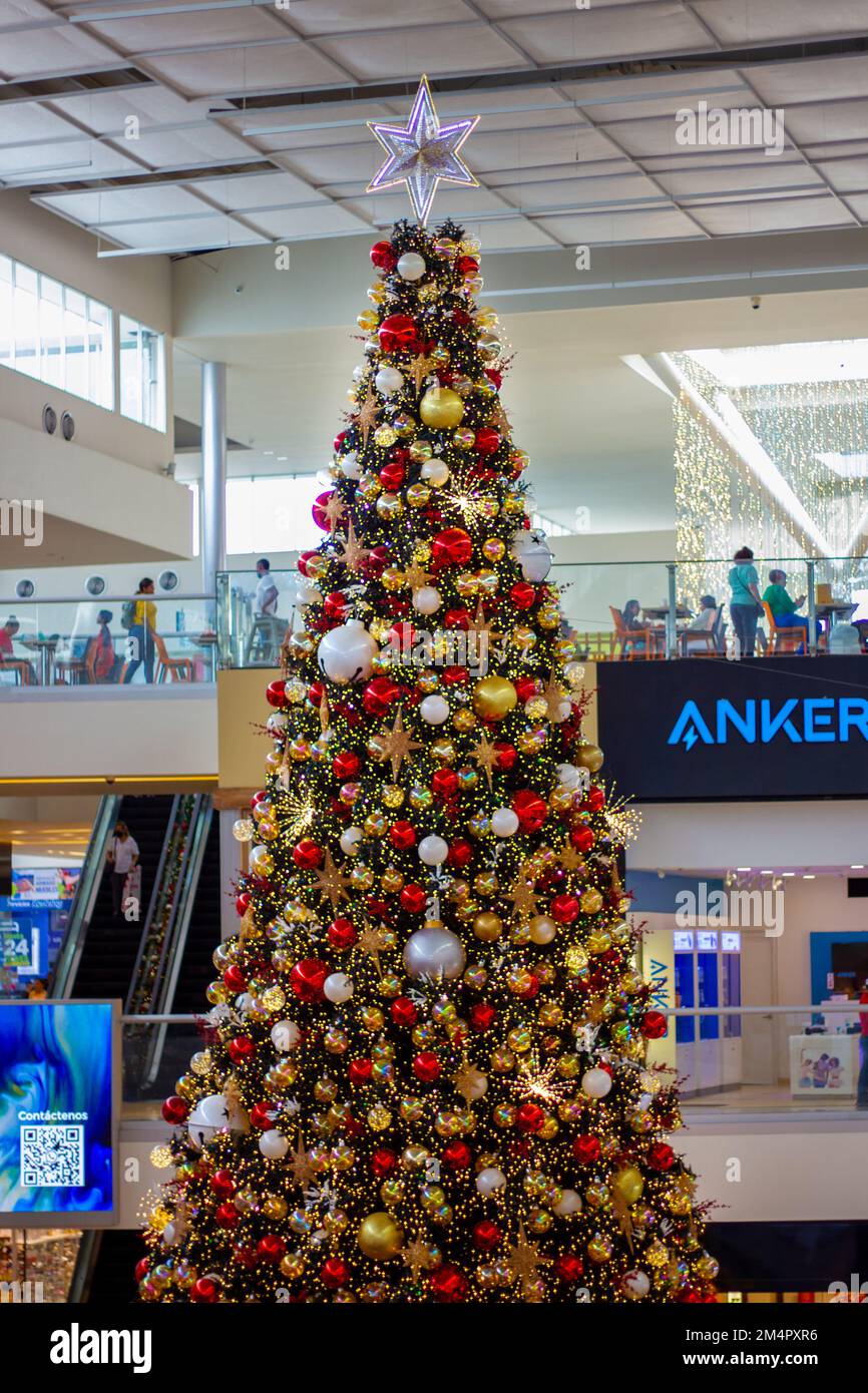 Giant gift box tree hi-res stock photography and images - Alamy