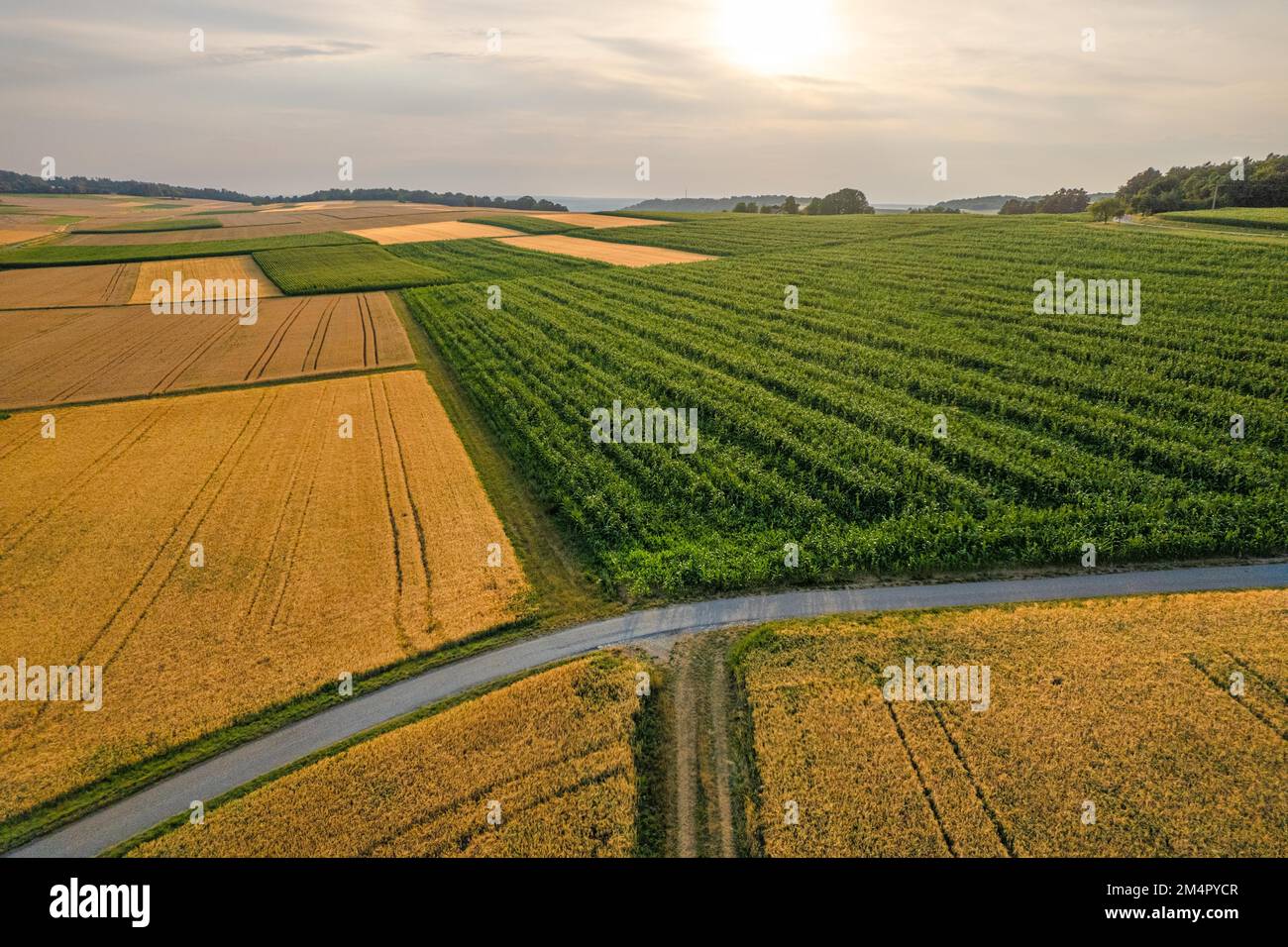 Aerial view of wide fields and a path in midsummer, Gechingen, Black ...