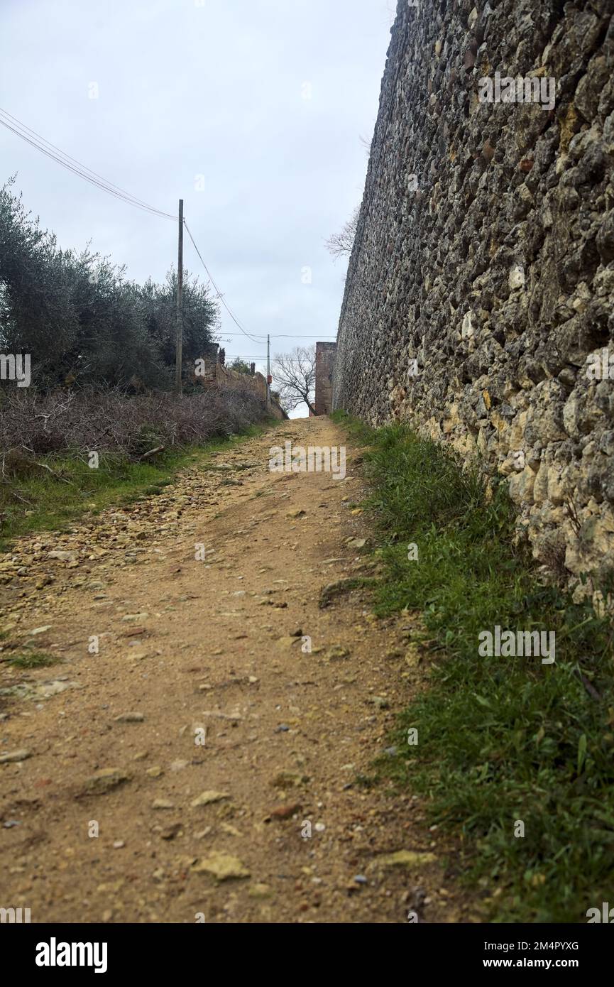 Dirt path next to a stone fortification and olive trees with ...